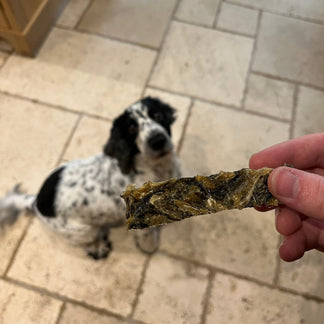 Fish Batons Dog Treat | Natural UK Sourced Fish – Waggleworthy
